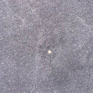 Victoria's Secret | Pants & Jumpsuits | Black Joggers From Pink | Poshmark